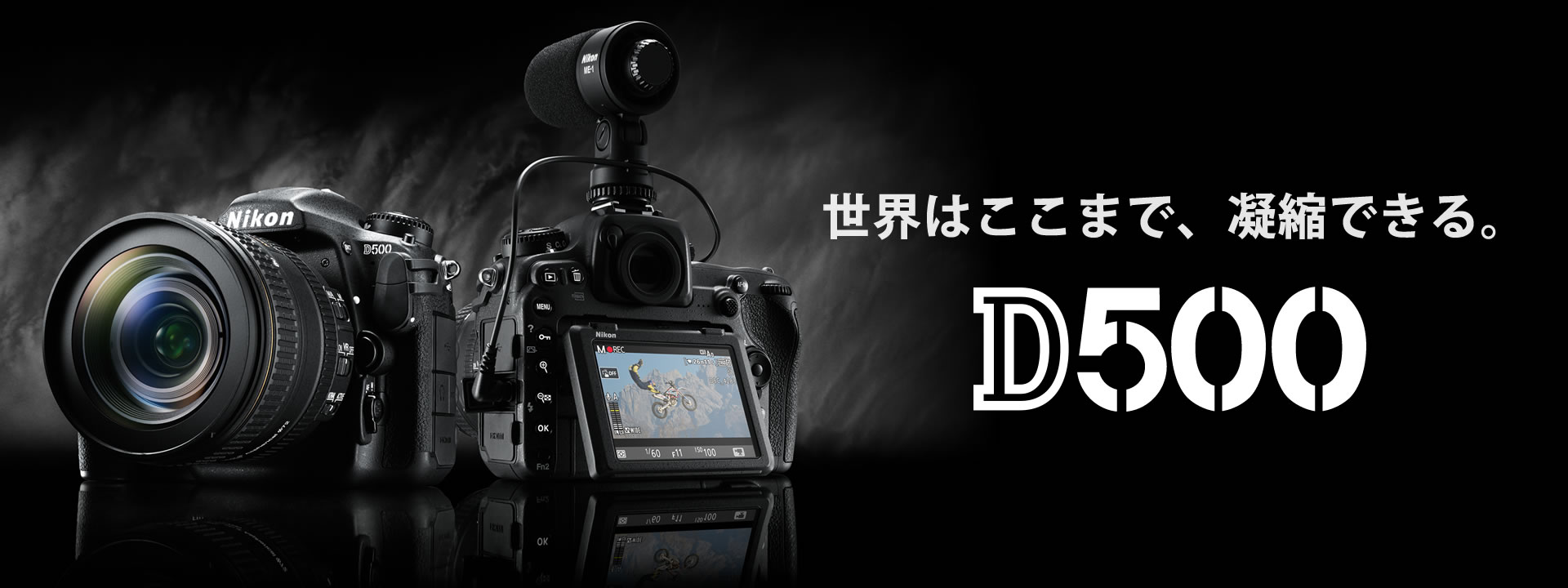 D5とD500が正式発表｜ぐふとく！